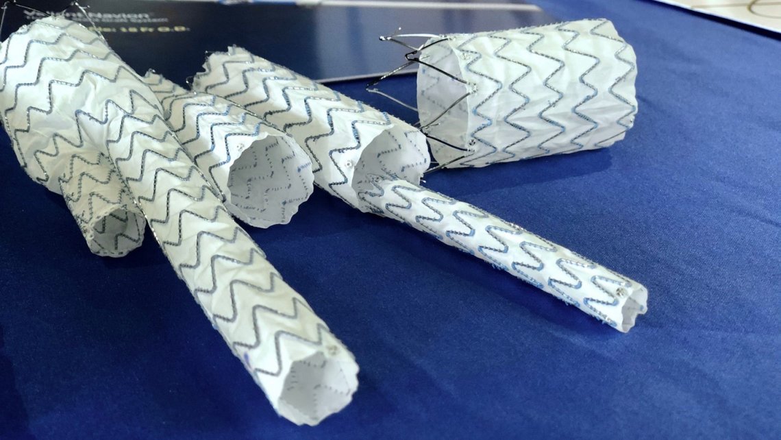 Managing A Fungal-Infected Prosthetic Aortic Graft with Robotic ...