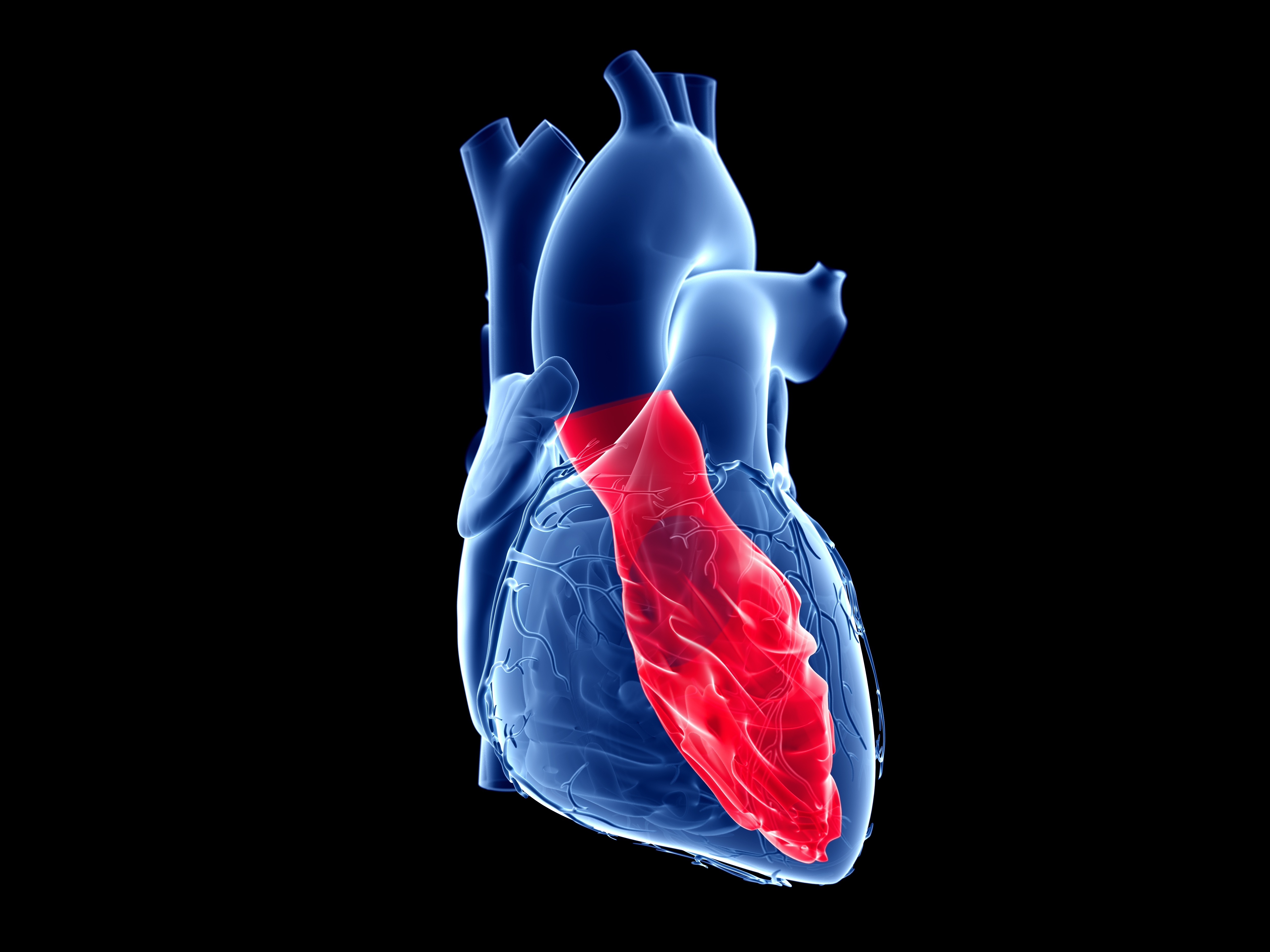 The Science of Left Ventricular Unloading. - Perfusion Times